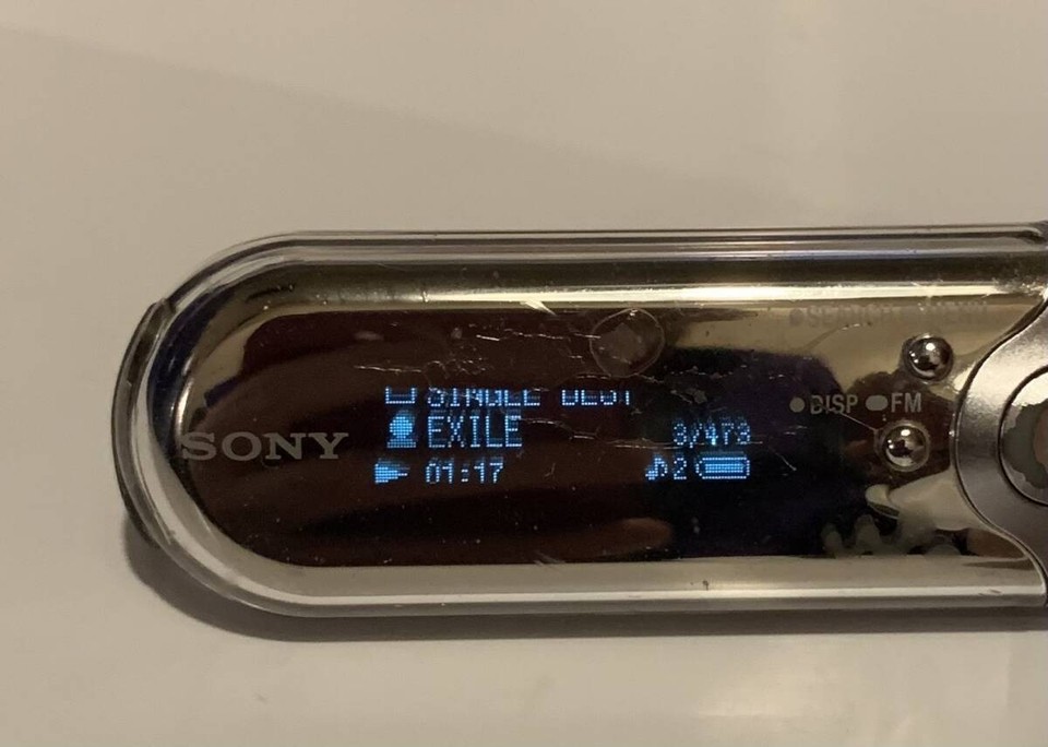 Sony Network Walkman NW-E507 Silver 1GB MP3 Player FM Radio OLED ...