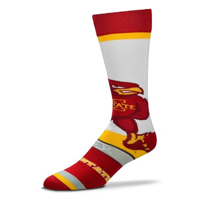Iowa State Cyclones Mascot Socks, Medium | eBay