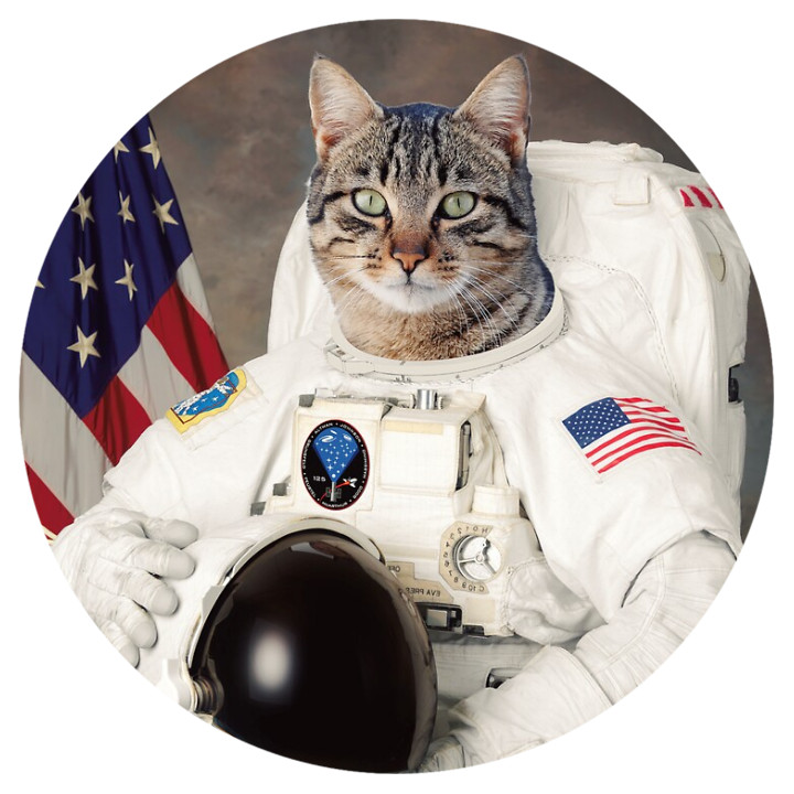 Cat Dressed As Astronaut