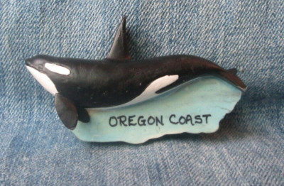 Orca Killer Whale Oregon Coast 3D Magnet Souvenir Refrigerator EBS-A | eBay
