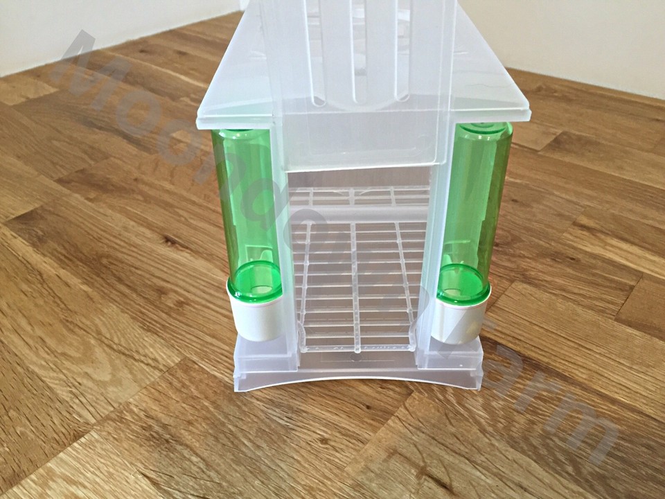 Bird Travel transport Carry Cage / Box For Finch Canary Budgie In ...