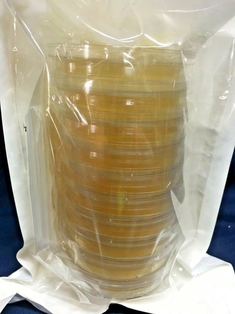 REMEL STERILE CONTACT PLATES TSA W/POLYSORBATE 80/LECITHEN CASE OF 100 ...