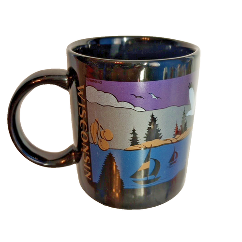 Wisconsin Door County Souvenir Mug Black Iridescent Landscape | eBay