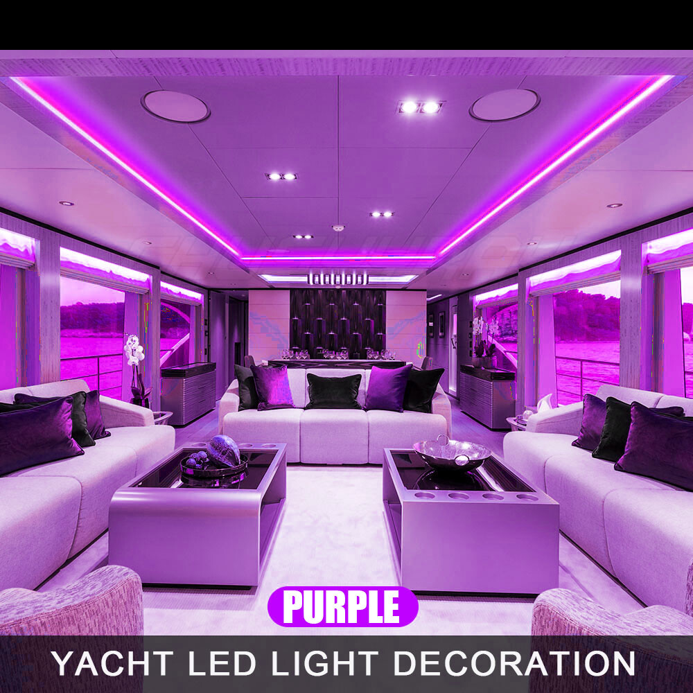 Purple Led Ceiling Lights | Shelly Lighting