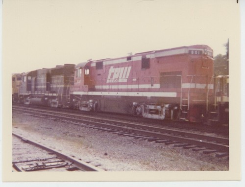 1970s Toledo Peoria & Western Railroad Locomotive Photo #801 Alco C424 ...
