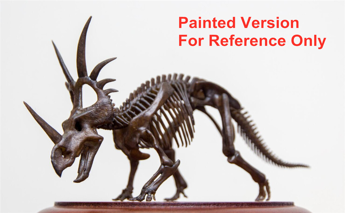 Styracosaurus Skeleton