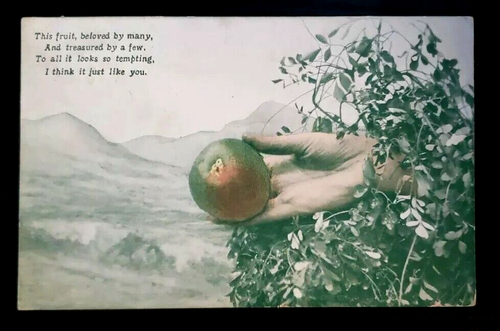Antique Art Poetry Postcard~ Forbidden Fruit~ Beloved By Many ...