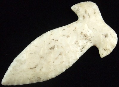 Exceptionally Fine 3 1/2 inch Florida Mustache Simpson Point with COA ...