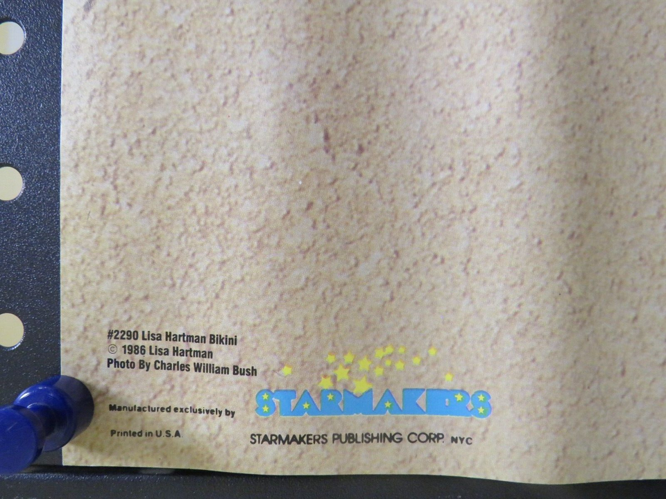 ROLLED 1988 LISA HARTMAN BEACH BIKINI CHEESECAKE MODEL POSTER ...