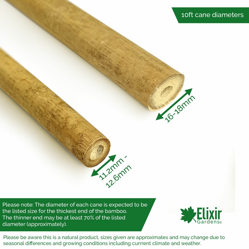 Strong Heavy Duty Professional Bamboo Plant Support Garden Canes | 2ft ...