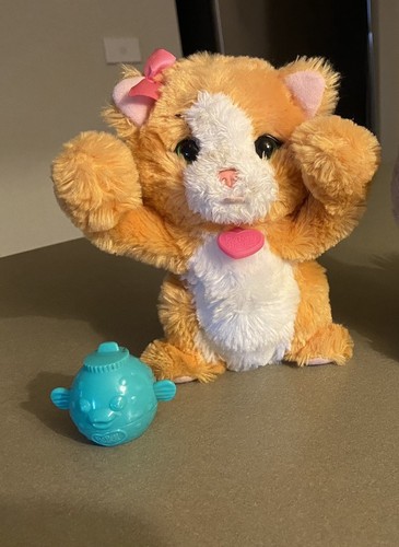 FurReal Friends Lil Big Paws Peek-a-Boo Daisy cat kitten interactive ...