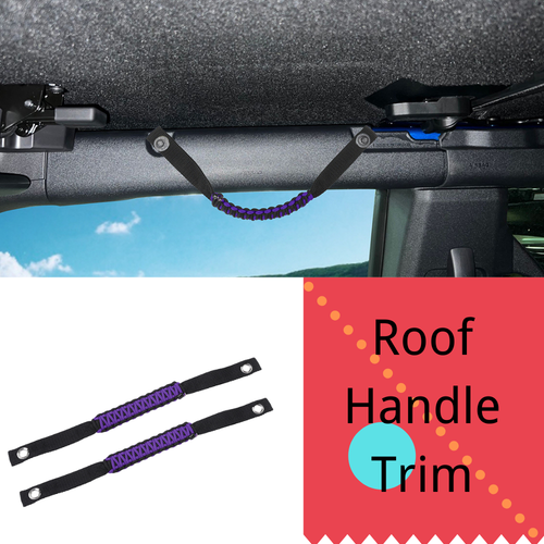 For Ford Bronco 2021-22 Roof Roll Bar Grab Handles Grip Handle Cover ...