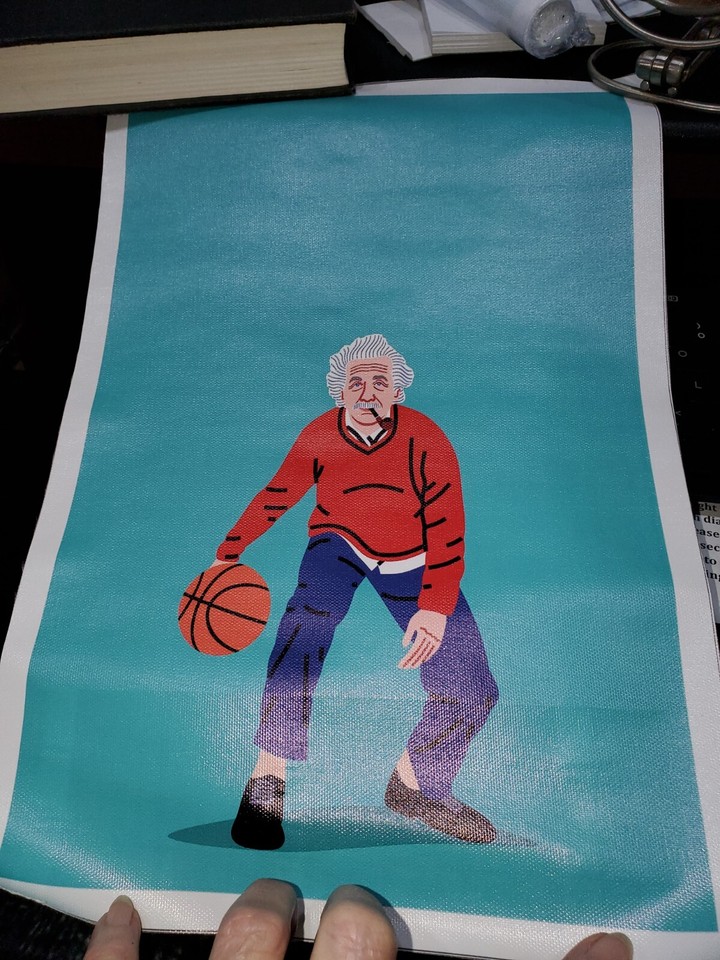 POSTER unframed canvas approx 12X18” EINSTEIN BASKETBALL | eBay