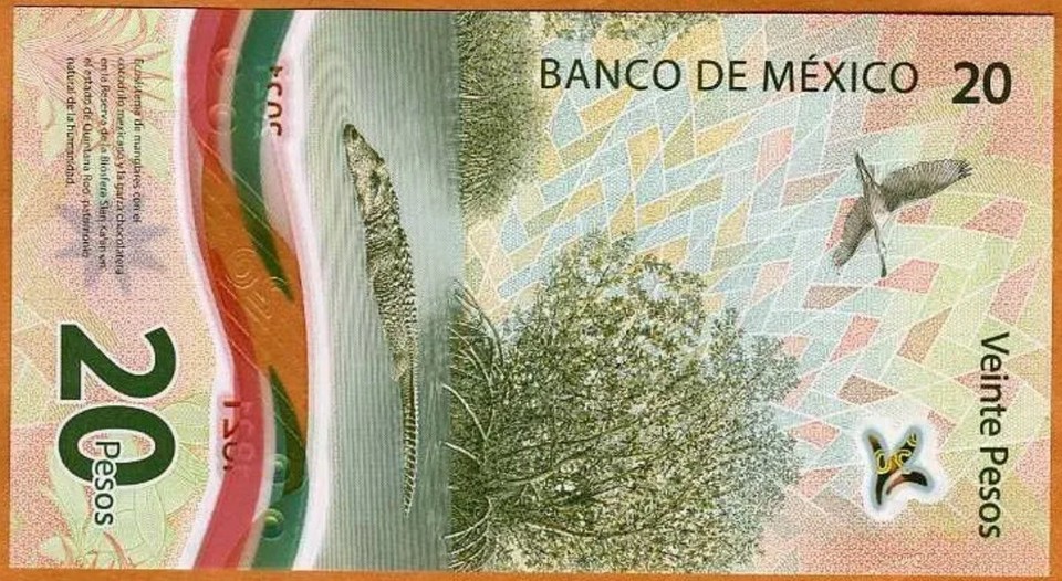 Mexico 20 Pesos 2021 Polymer Note. 20 Pesos Cir Banknote.20 Pesos MXN ...