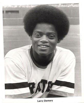 Larry Demery "Pittsburgh Pirates" Licensed MLB Baseball 8x10 Glossy ...