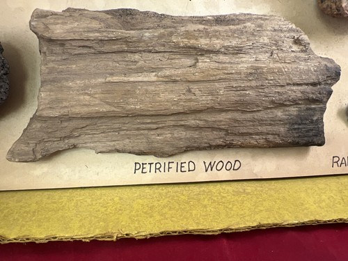 Mineral Collection Display On Cardboard Vintage, As Is 7 Sample Rock ...