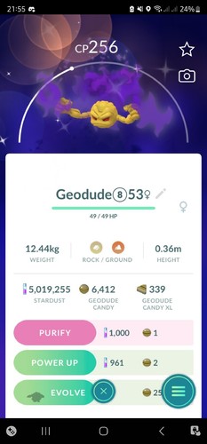 Pokémon Shiny Shadow Geodude GO | eBay