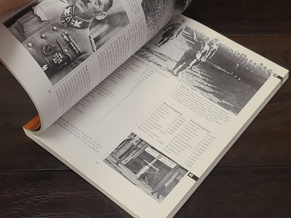 Collector's Guide Ser.: The Waffen-SS by Robin Lumsden | eBay