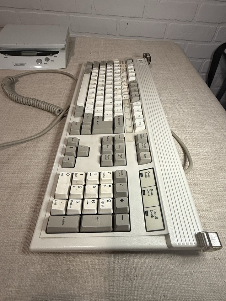 Vintage Focus Electronics FK-2001 Alps Mechanical Keyboard Clicky ...