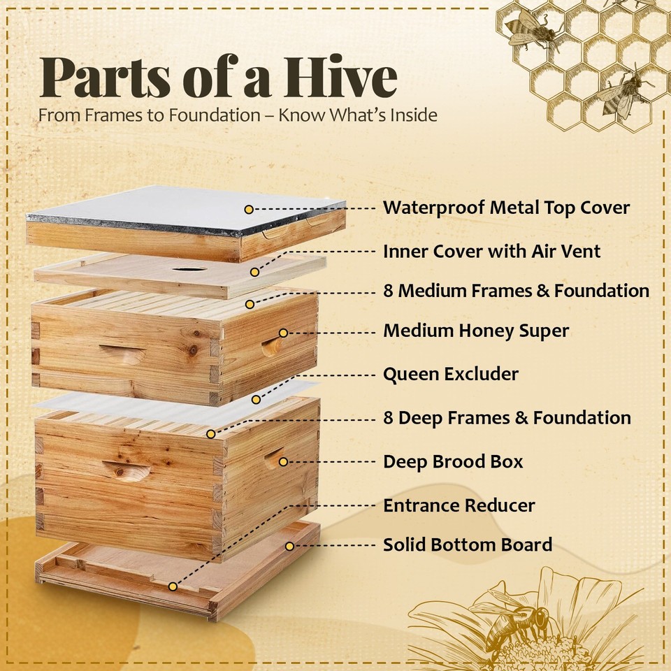 Bee Hive Starter Kit | Premium Beekeeping Full Set Up | 16 Frame Beeswax Coated | eBay UK