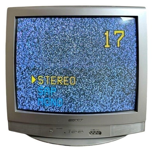RARE Sharp 27” CRT TV 27C241 Gaming Monitor Television Old School ...