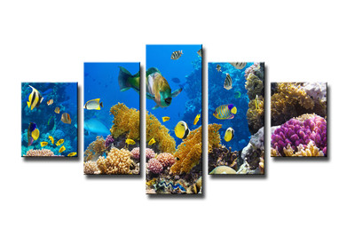 Tableau Déco Océan Mer Poisson 5 partie Image sur toile 160 x 80 cm | eBay