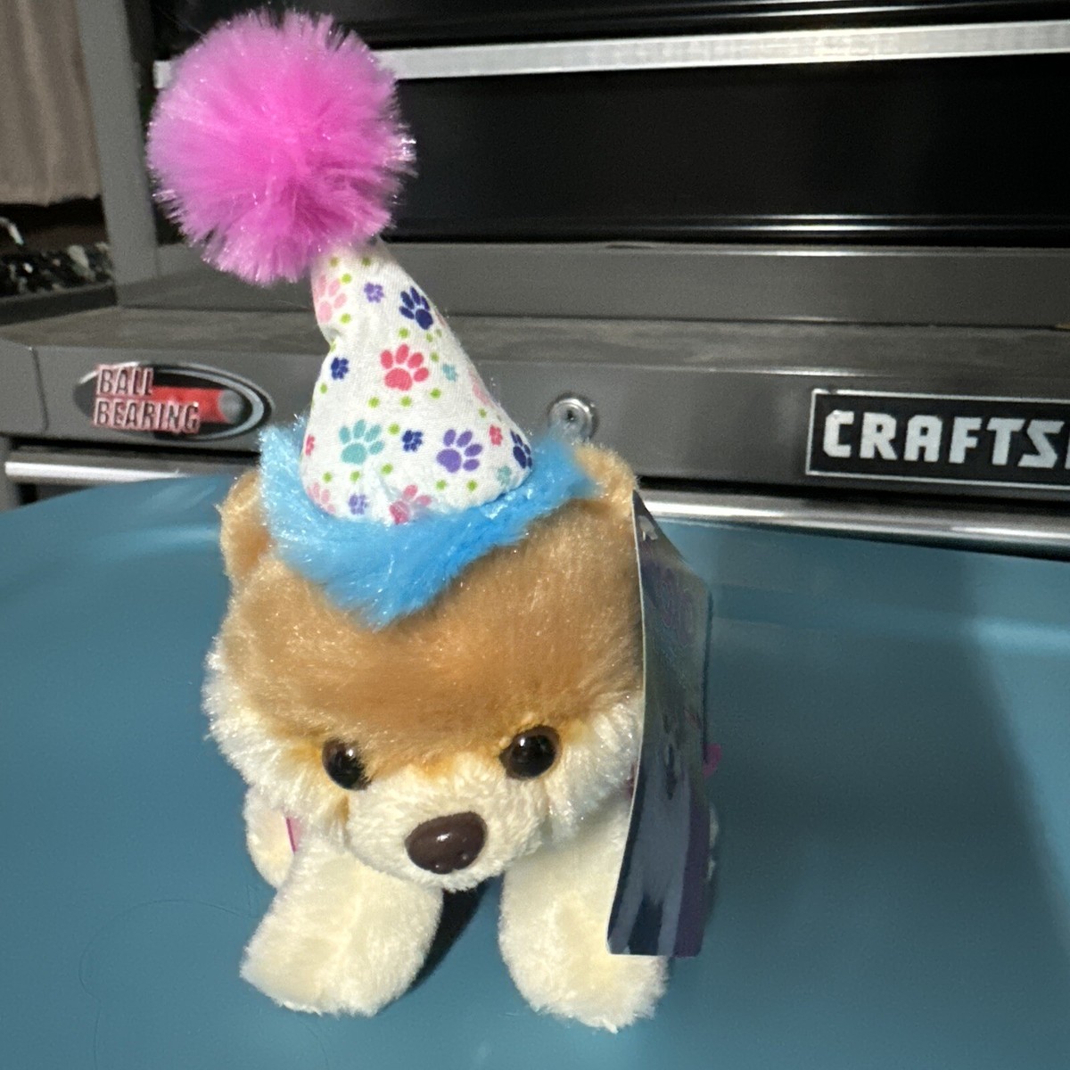 Boo Dog Birthday