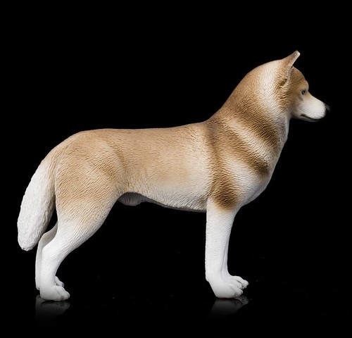 Siberian Husky Dog Animal Toy 5 Inch PVC Action Figure Doll Kids Toys ...