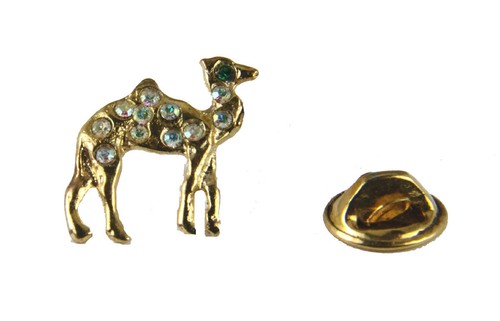 6030674 Camel Lapel Pin Shrine Mason Masonic Prince Hall AEAONMS | eBay