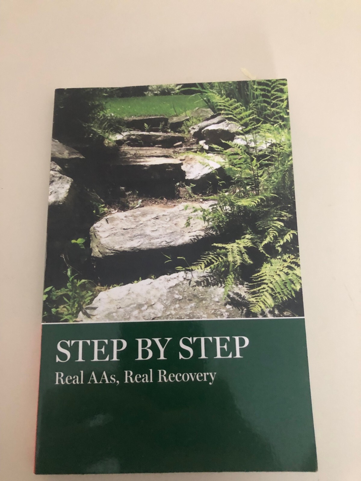 Step by Step : Real AAs, Real Recovery Paperback 9780933685888 | eBay