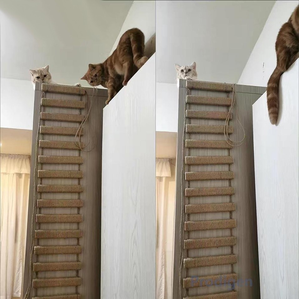 Sisal Cat Climbing Ladder Cat Climber Cat Scratcher Cat Toy for Indoor ...