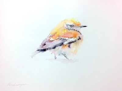 Desert Wheatear, Birds, Watercolor artwork, Handmade, Original painting ...