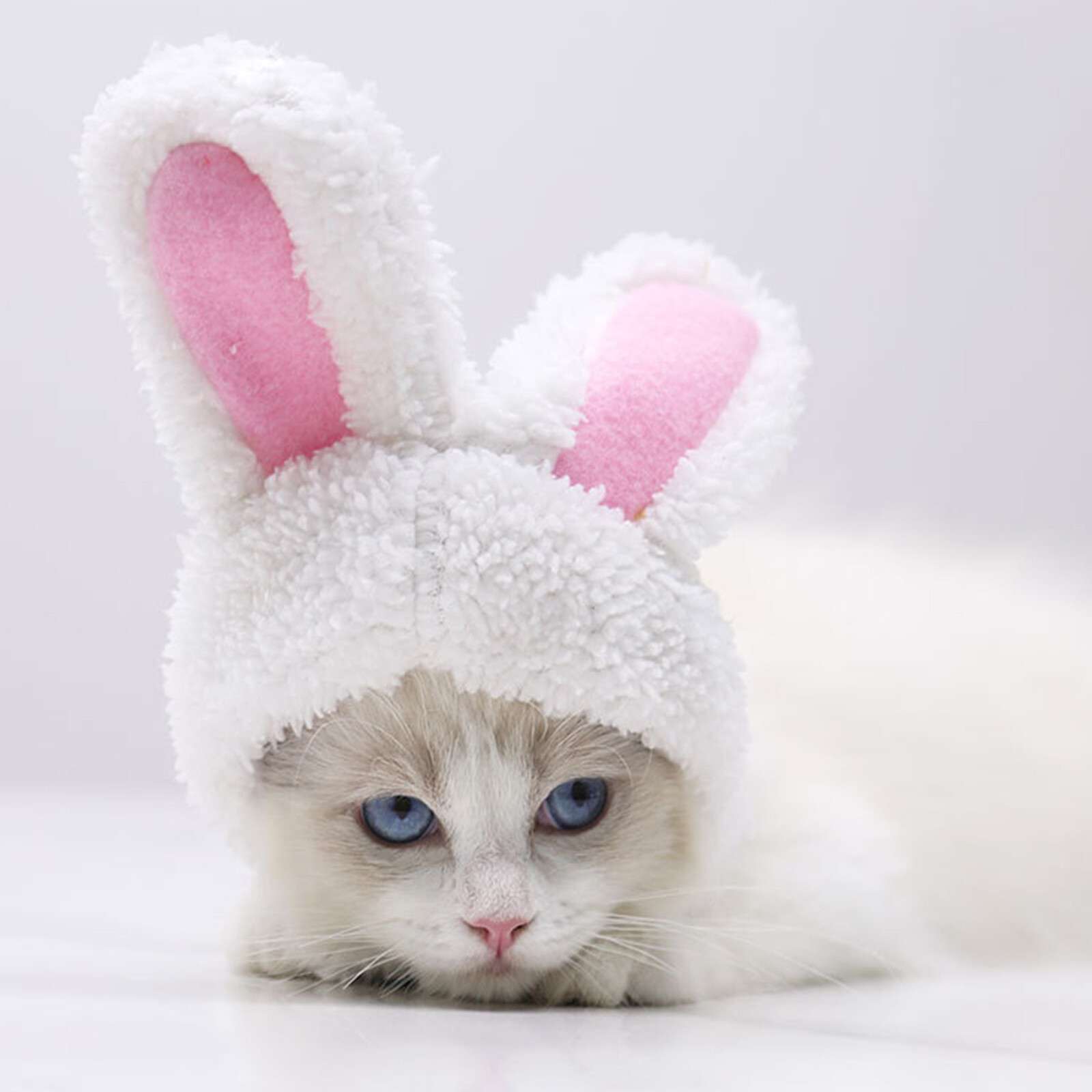 Rabbit Ear Cats Hat Cartoon Cat Dog Headgear Pet Dressup Caps Supplies ...