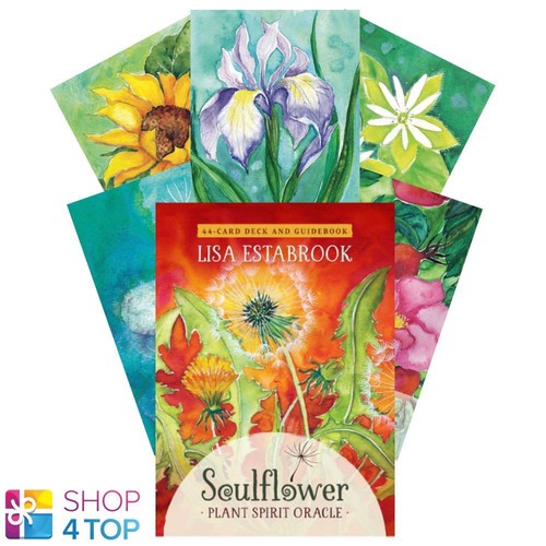 Soulflower Plant Spirit Oracle Cards Deck Findhorn Press Lisa Estabrook ...