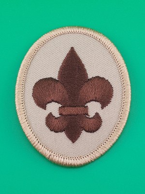 Boy Scout Rank Uniform Patch Plastic Back BSA Boy Scouts America NEW ...