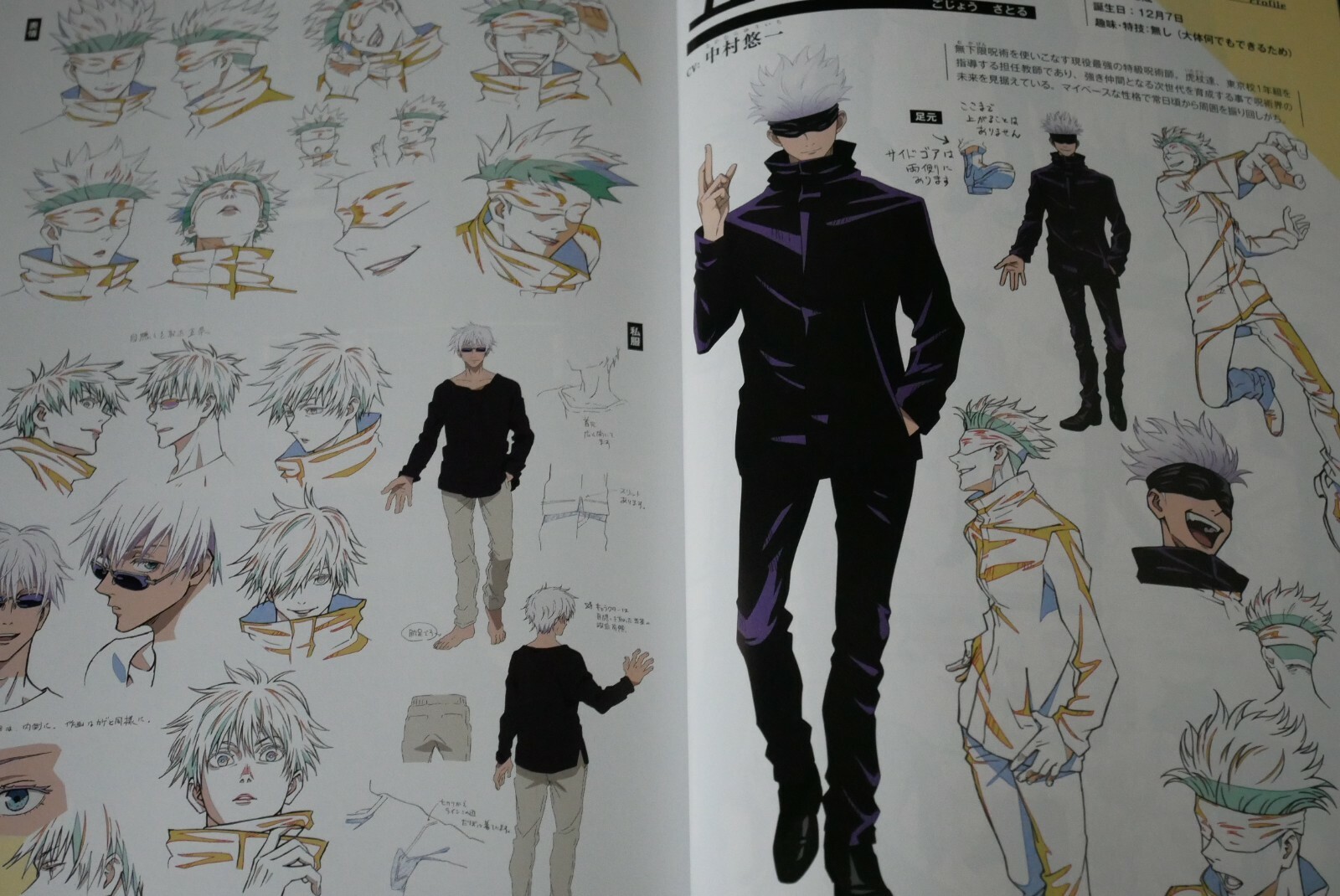 JAPAN Gege Akutami: TV Anime Jujutsu Kaisen 1st Season Complete Book | eBay