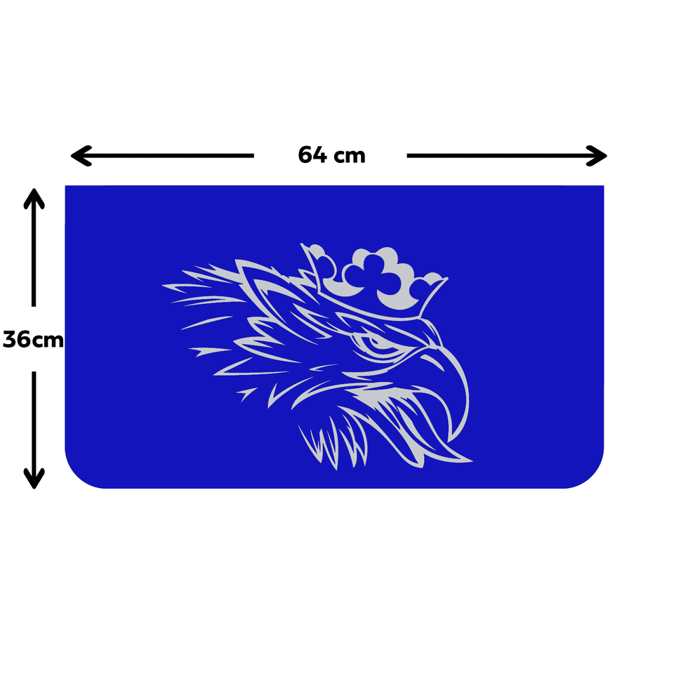 SCANIA Lorry HGV Truck Mudflaps 36x64cm Blue PVC Mud Flaps with Silver ...