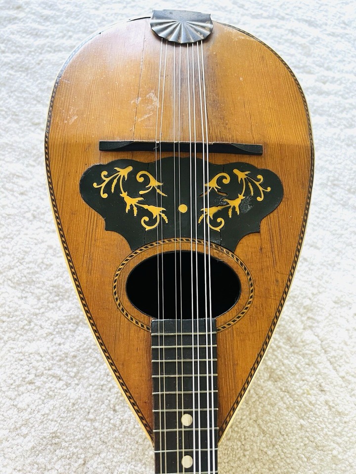 antique mandolins musical instrument | eBay