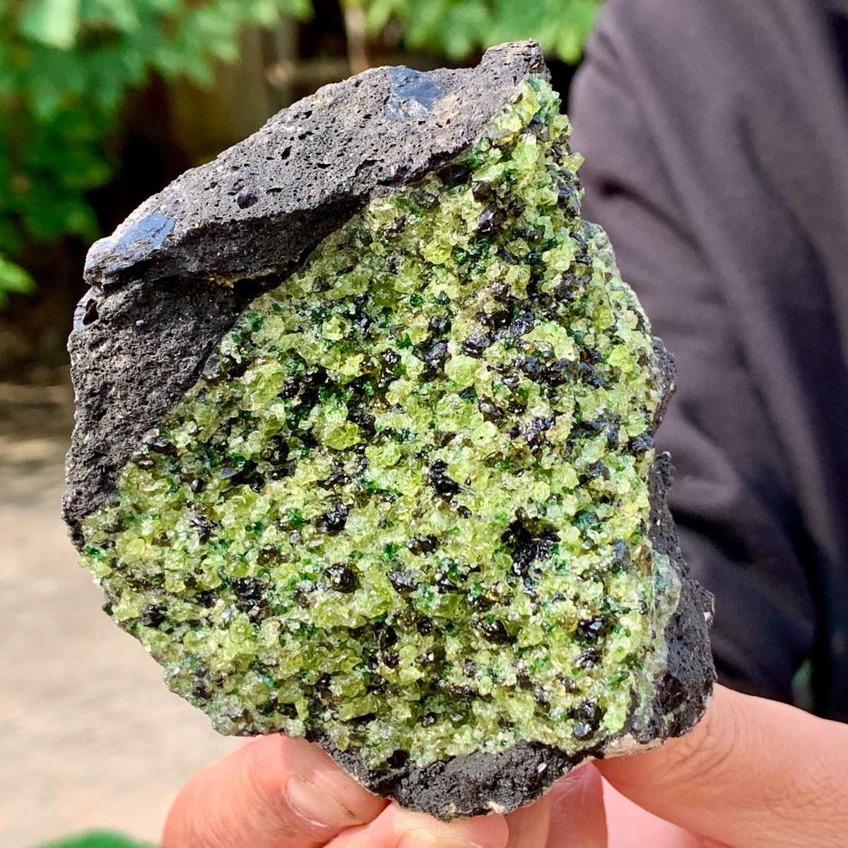 Olivine Crystals What Do Look Like Olivine Wikipedia