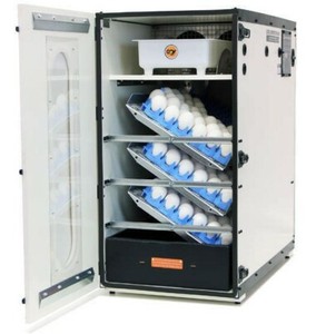 NEW GQF Sportsman Cabinet Incubator Hatcher 1502 model + Optional Egg ...