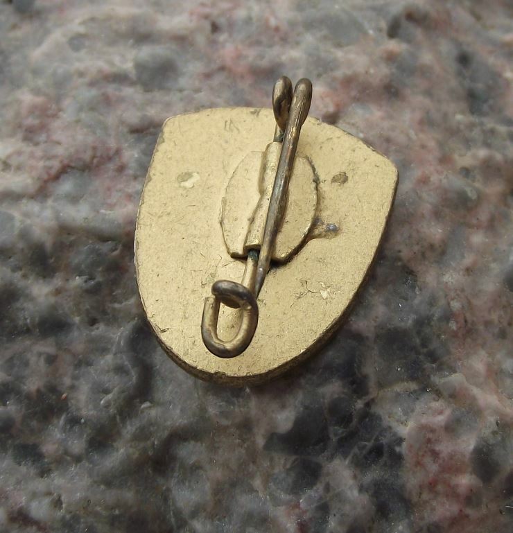 East German DDR GDR Gun Target Marksman Military Shooting Award Pin ...