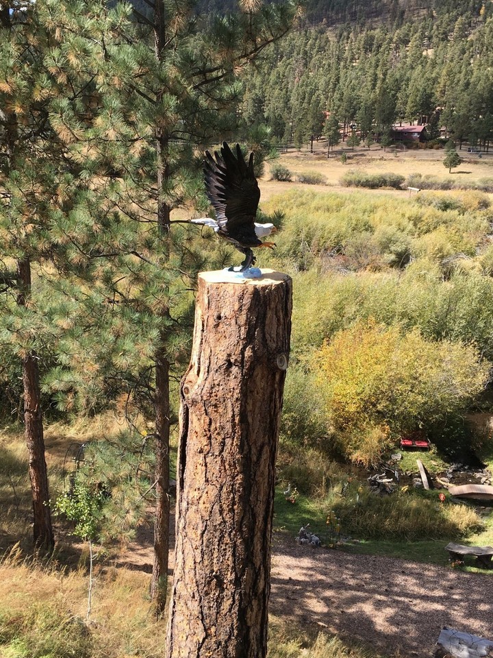 Wide Span Winged Eagle with Fish Aluminum Statue | eBay