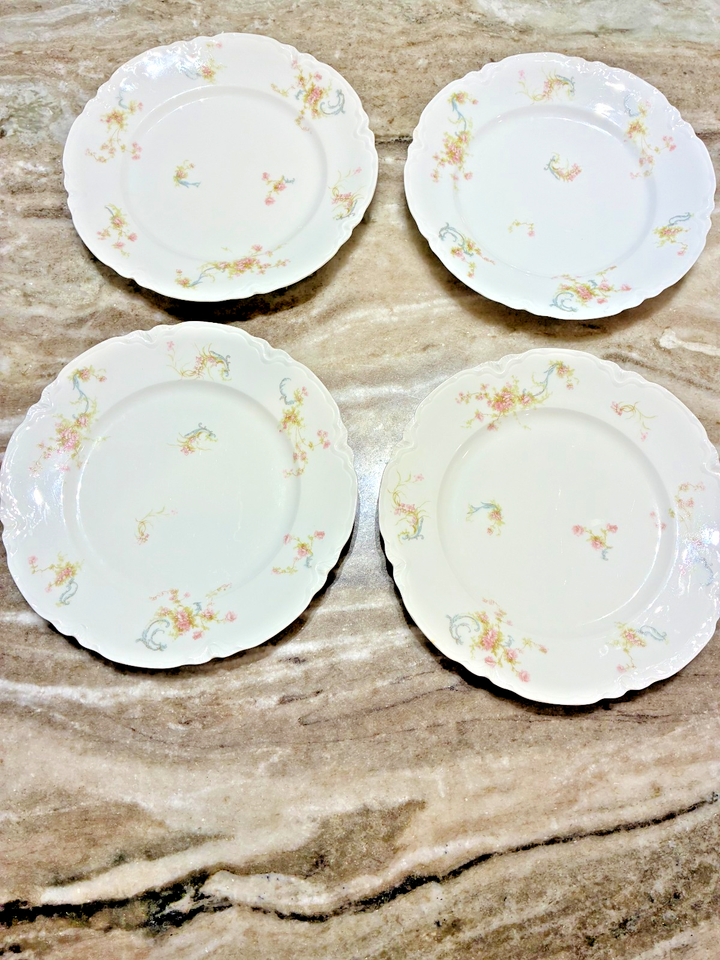 4 Schleiger pattern 9 1/2 ' plates, pink flowers, green leaves, blue ...