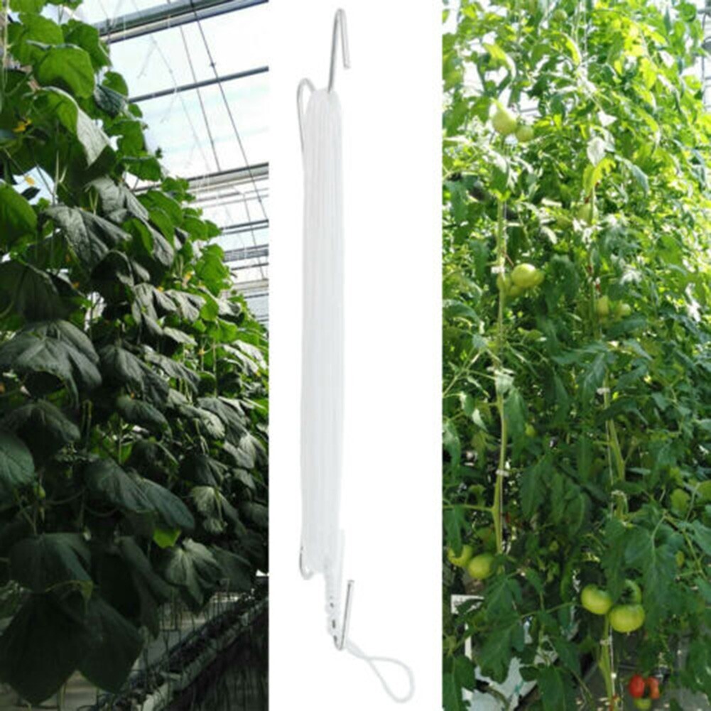 10x Greenhouse Garden Tomato Hook Clamp Holder Planting Vegetable Hook ...