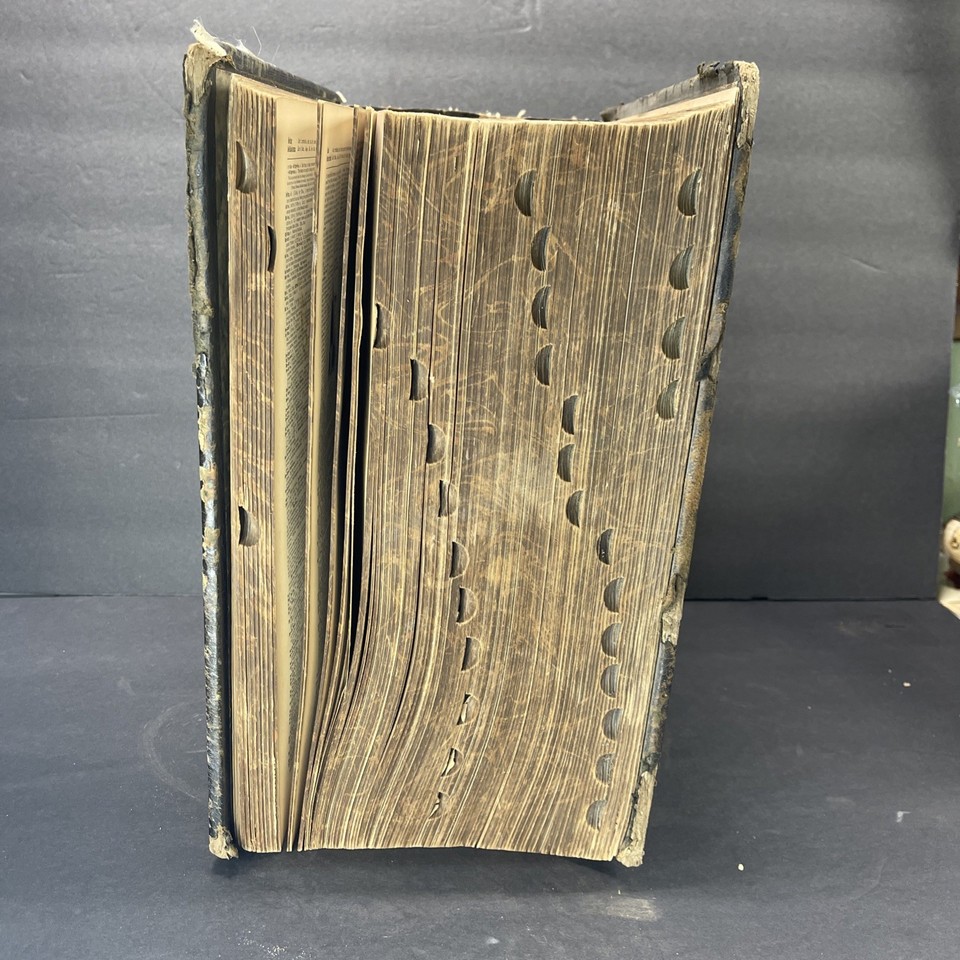 1920 Funk & Wagnalls New Standard Dictionary of the English Language ...