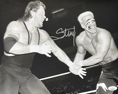 STING Signed Autographed 11x14 Photo JSA Authenticated #2 WCW WWE AEW ...