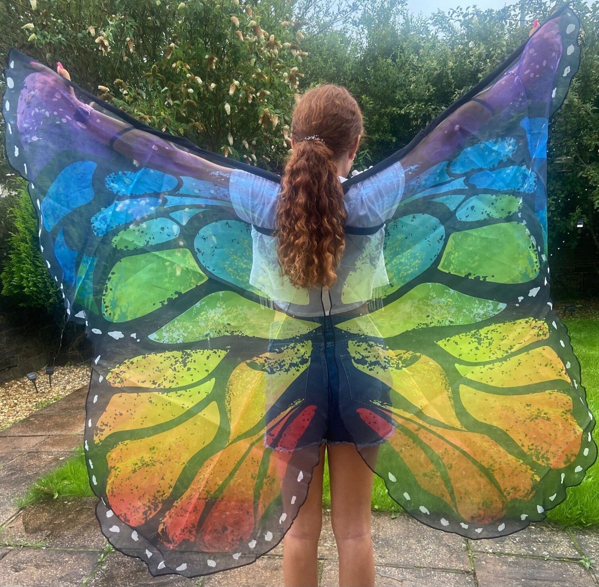 Fly Wings Costume
