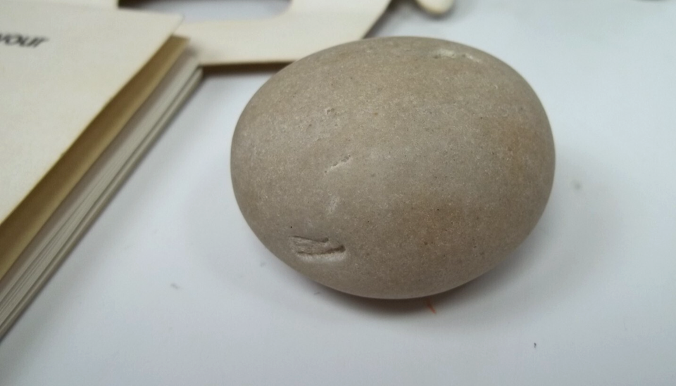 Vintage Original Pet Rock 1975 Rock Bottom Productions MCM | eBay