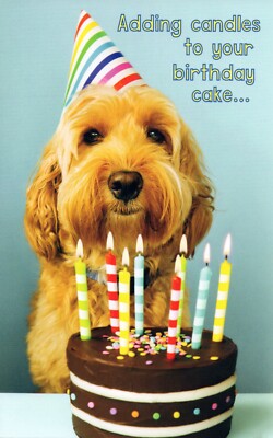 Cute HAPPY BIRTHDAY Card, Cockapoo Labradoodle Dog Cake — Stockwell ...