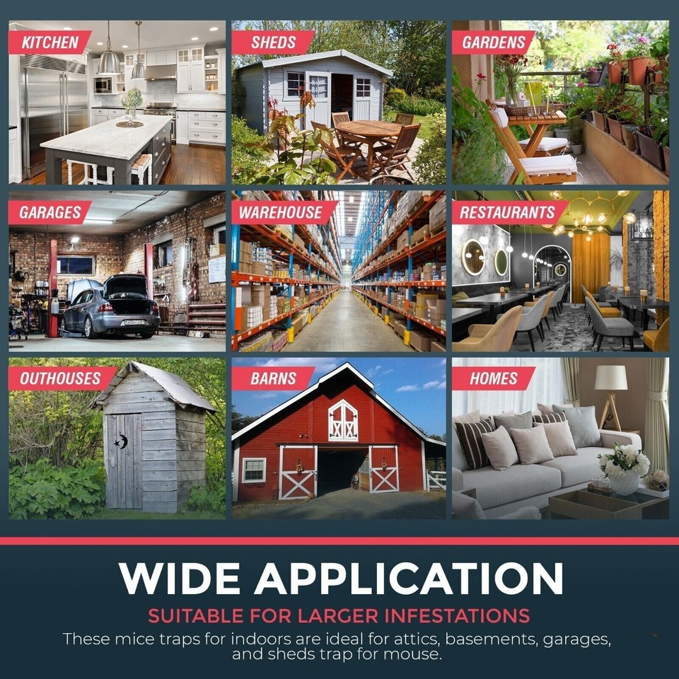 2 Wooden Mouse Traps Traditional Mice Rodent Pest Control Trap Reusable ...